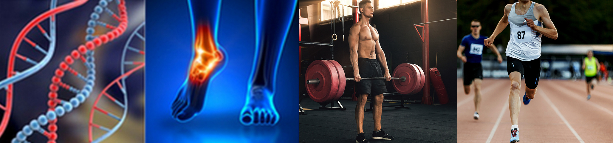 AxGen - Sports Genetics